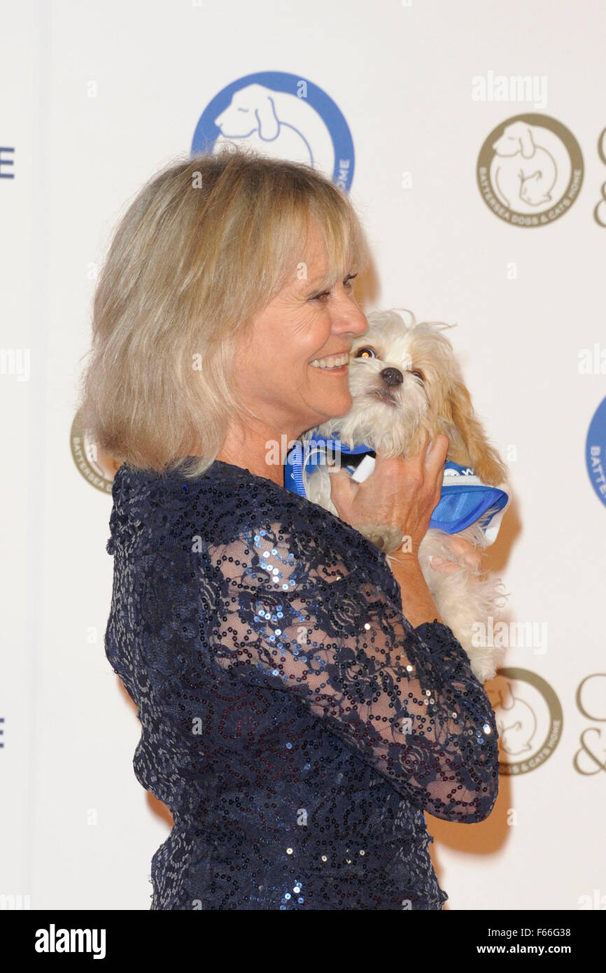 London, UK. 12th Nov, 2015. Sue Barker attending The Collars & Coats ...