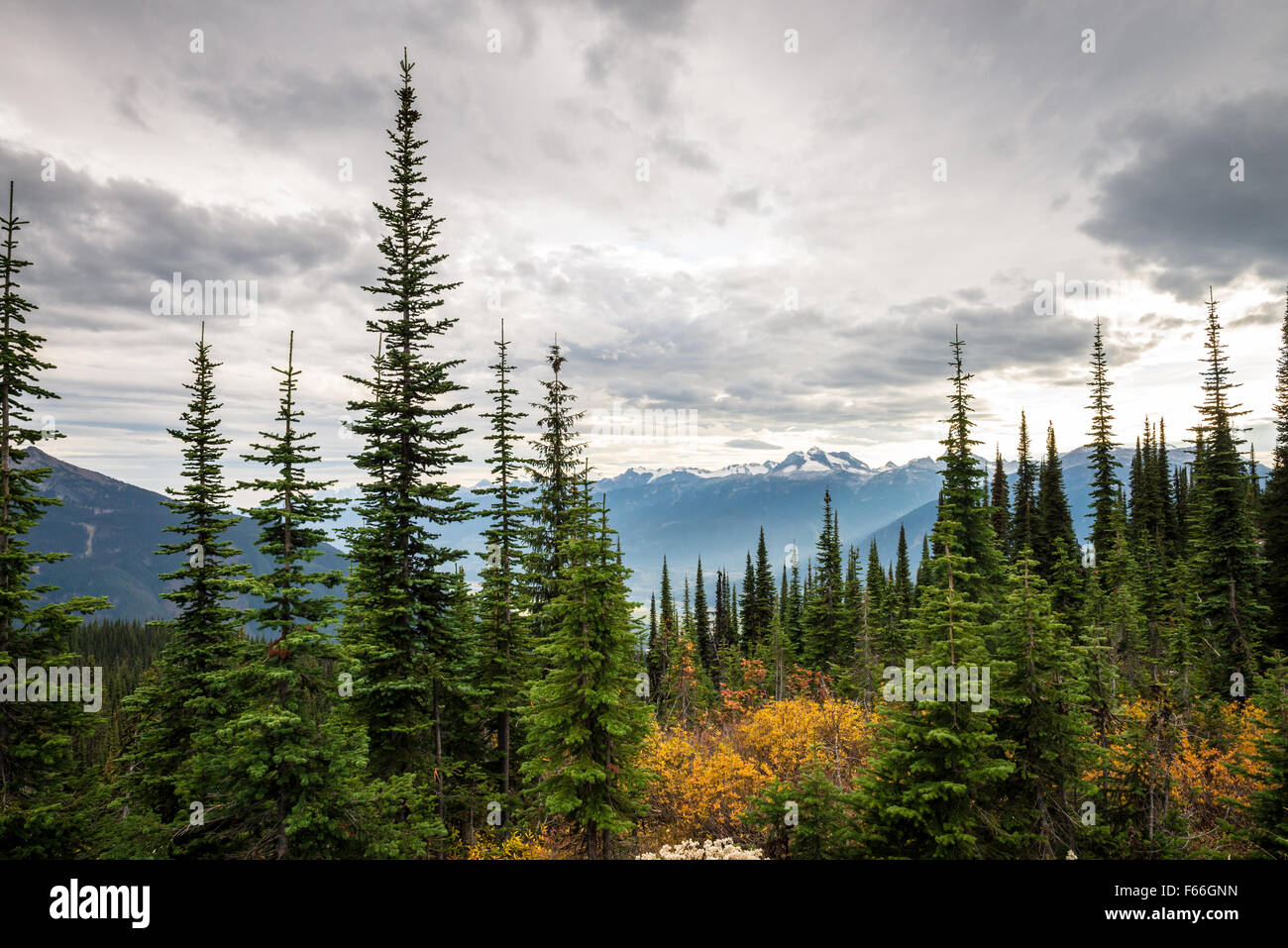 Canadian Mountains landscape photo Stock Photo - Alamy