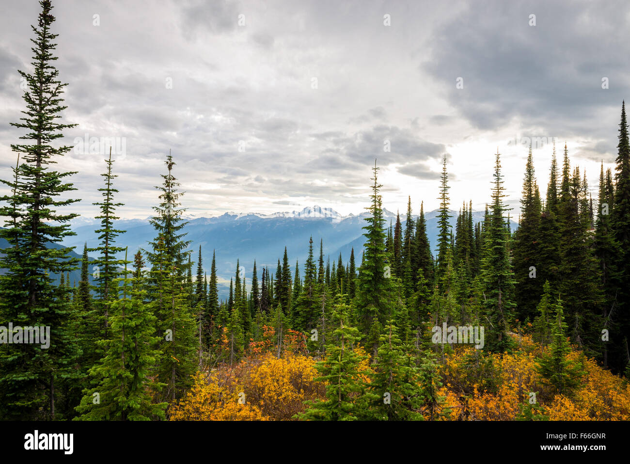 Canadian mountains hi-res stock photography and images - Alamy