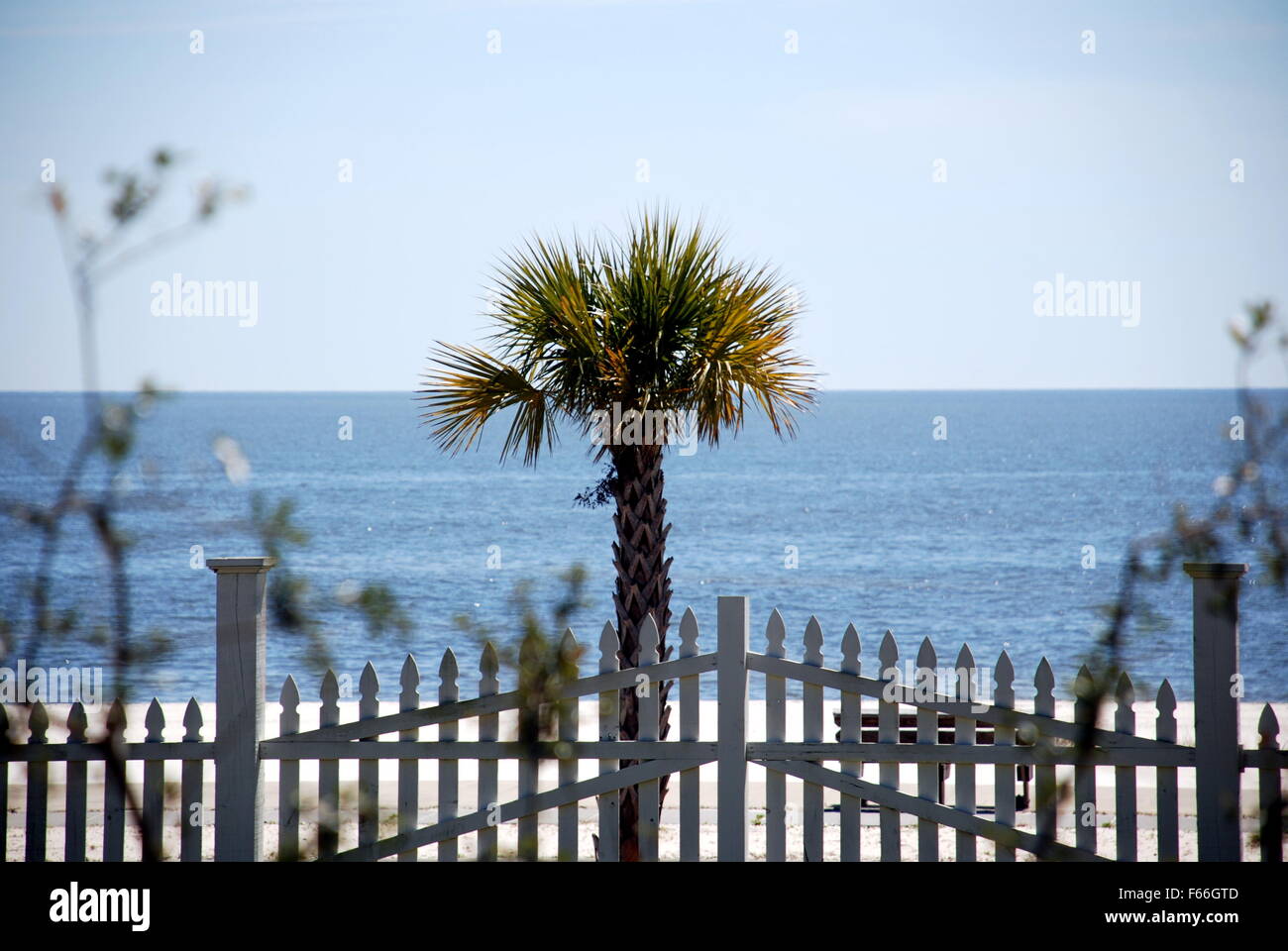 Palm palm picket fence hi-res stock photography and images - Alamy