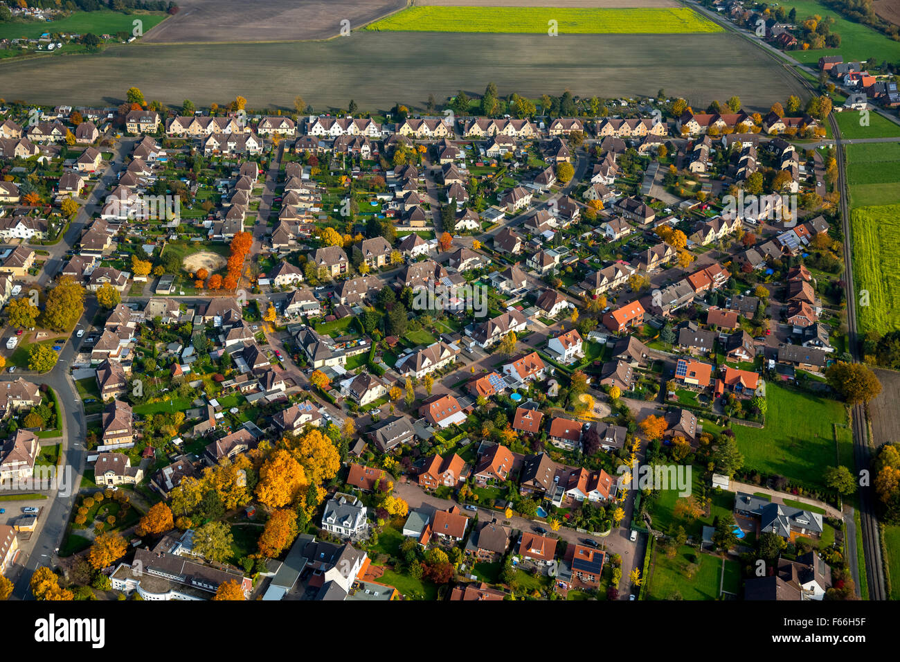 Colliery settlement Maximilian settlement Hamm Werries, autumn leaves ...