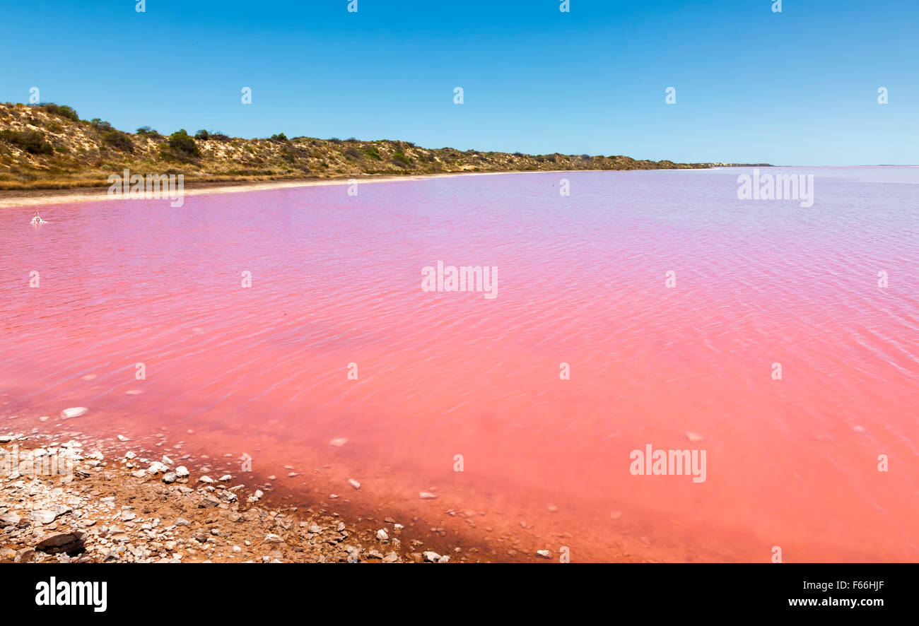 Pink Lake Kalbarri Pink Waters near Kalbarri sunset coast rainbow coast ...