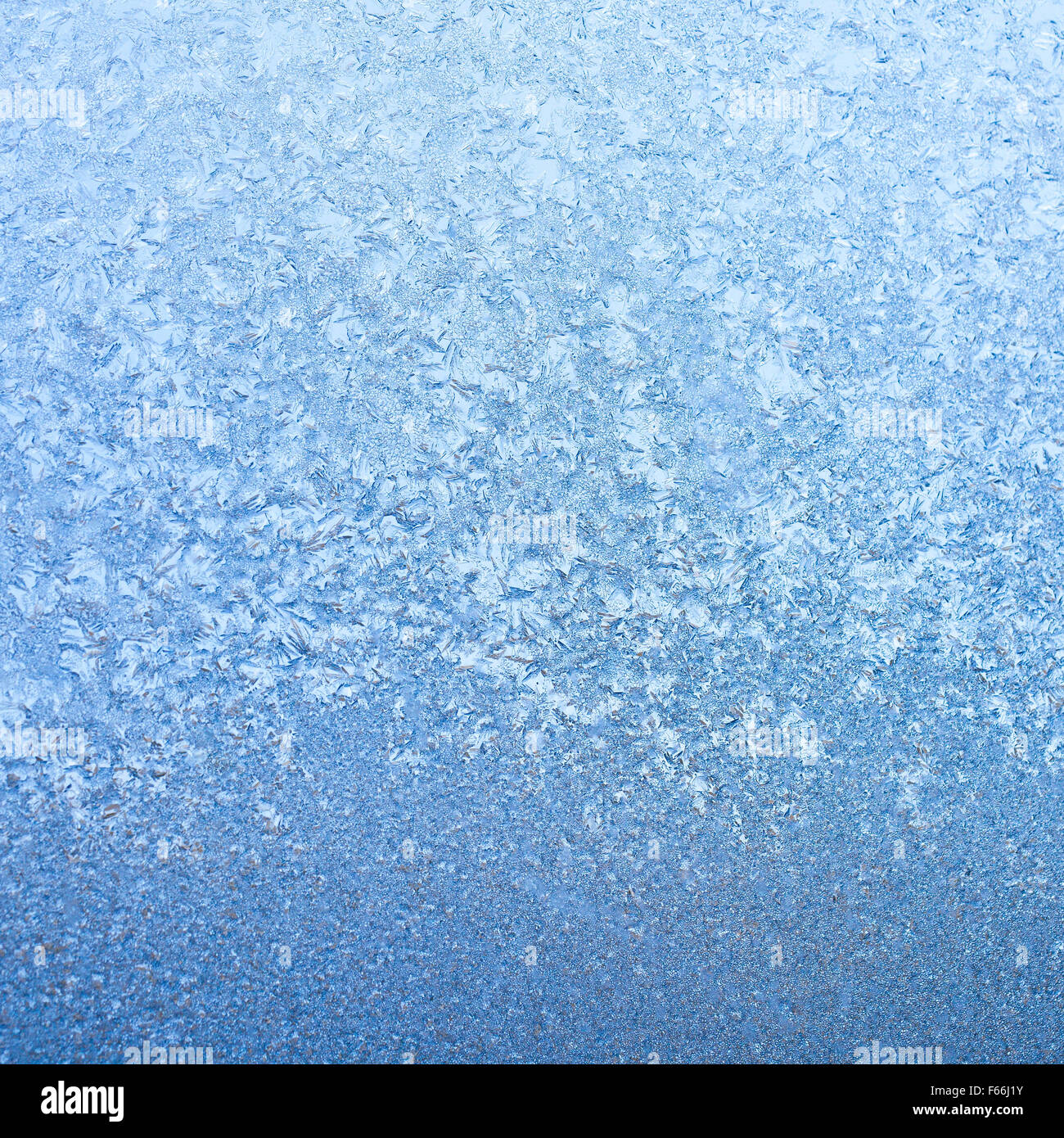 Frosty blue winter background Stock Photo - Alamy