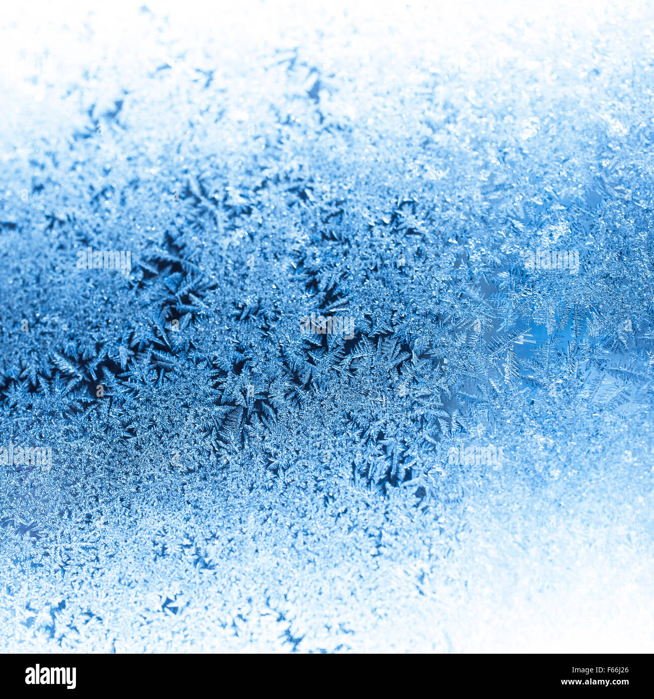 Beautiful blue frosty winter hi-res stock photography and images - Alamy