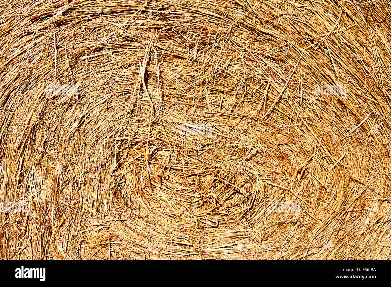 Hay bale texture hi-res stock photography and images - Alamy