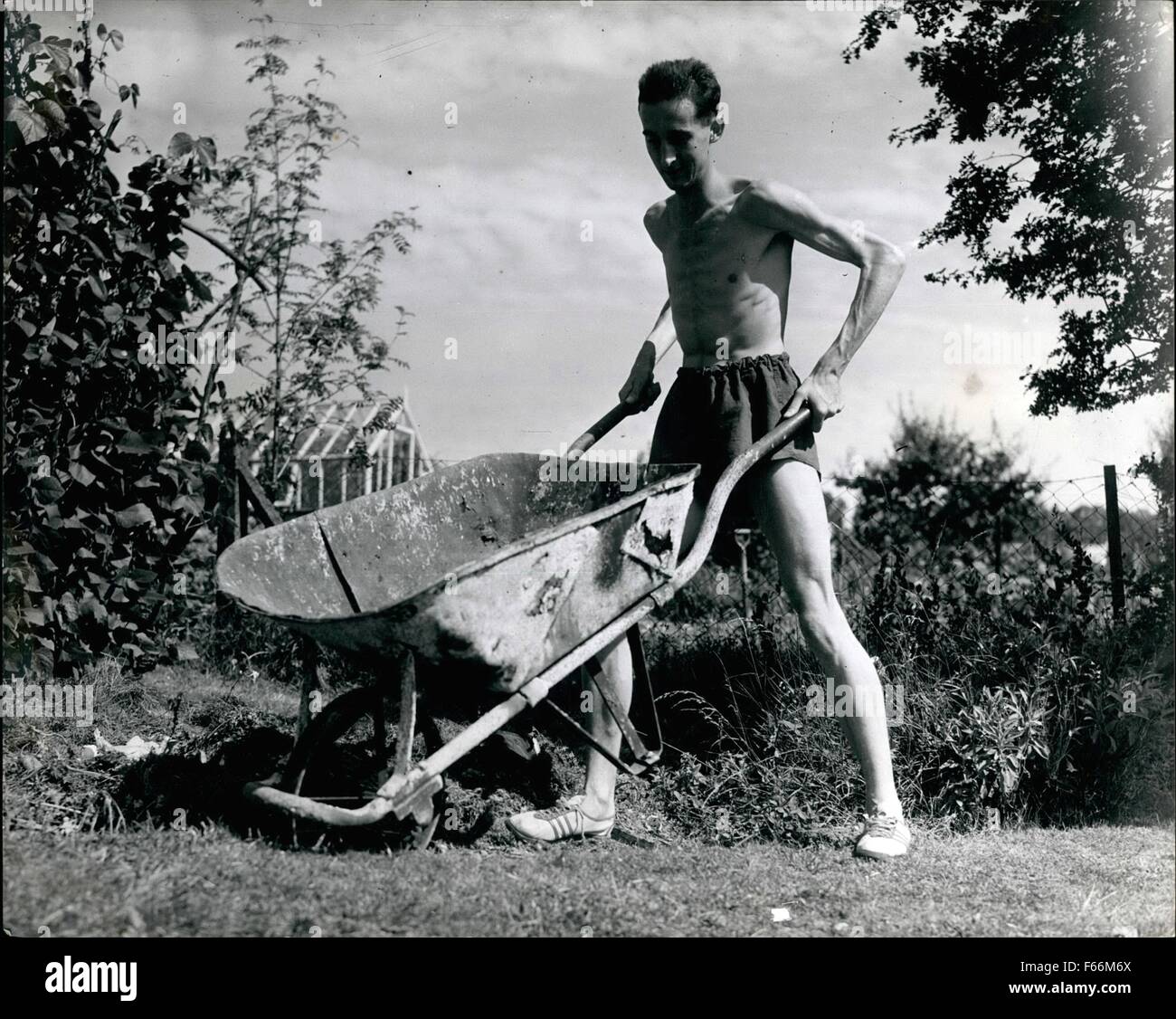 1960 - long-distance runner. Training Britain's champion runner: IN the ...