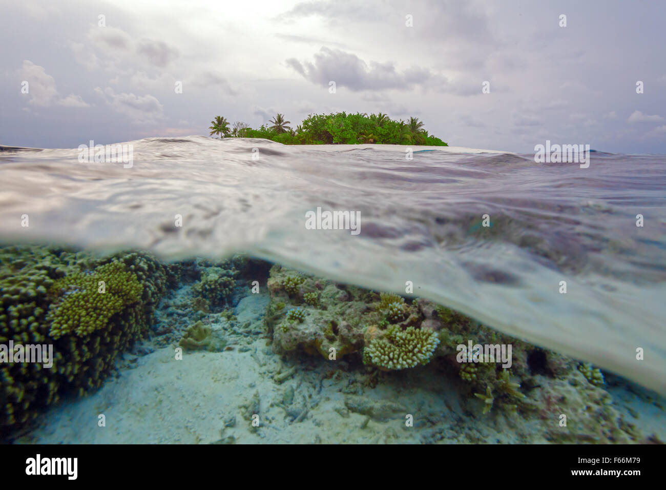 Semi Underwater Scene of tropical Island and Reef with small fishes ...