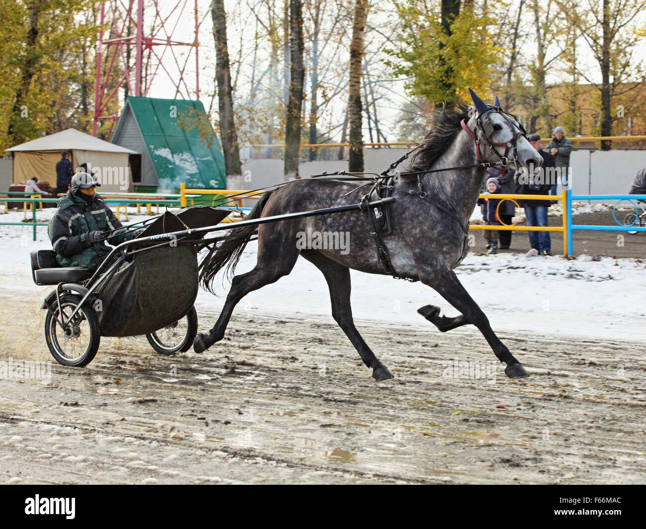 Trotting races hi-res stock photography and images - Alamy