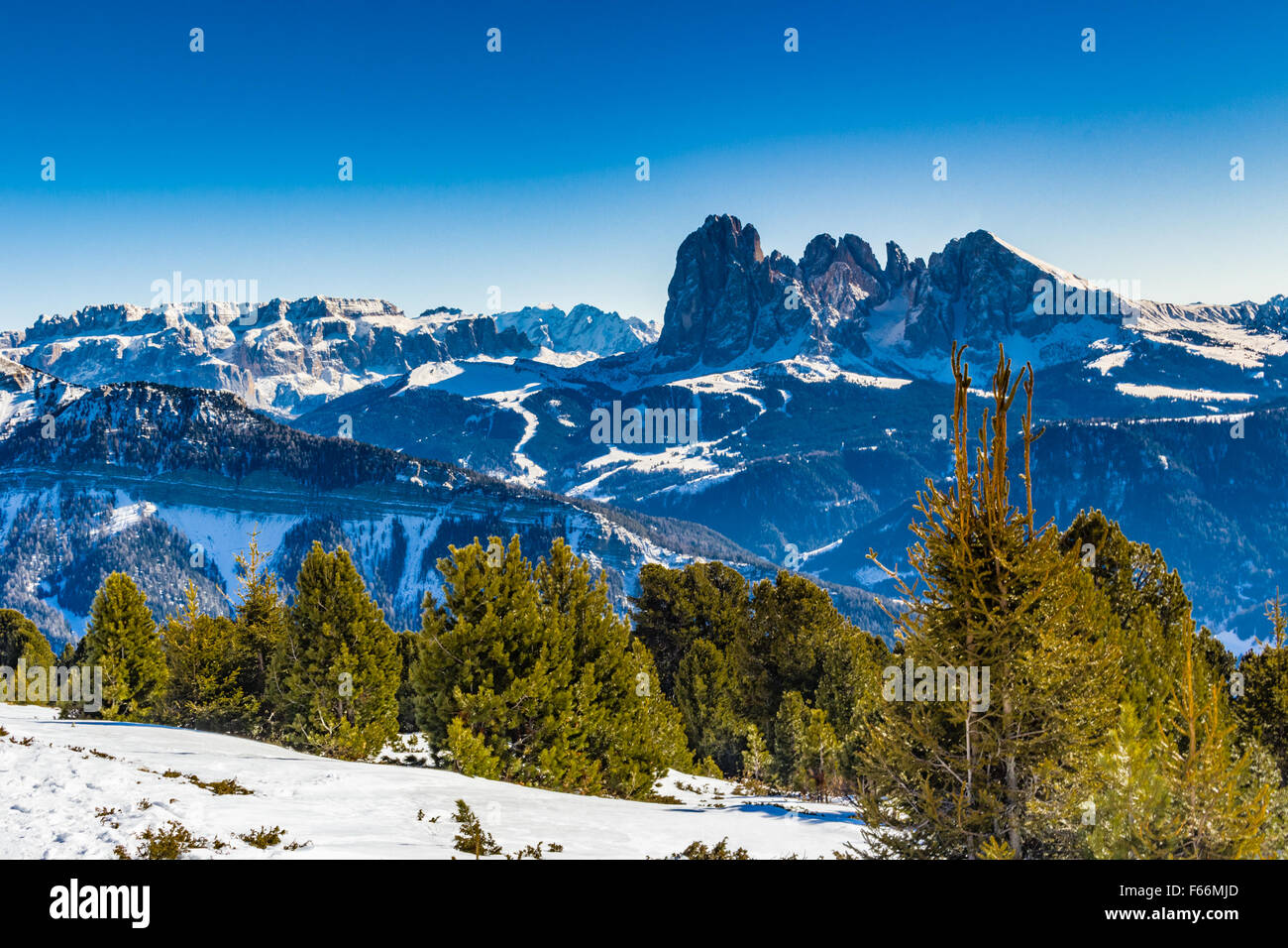 High mountain forests hi-res stock photography and images - Alamy