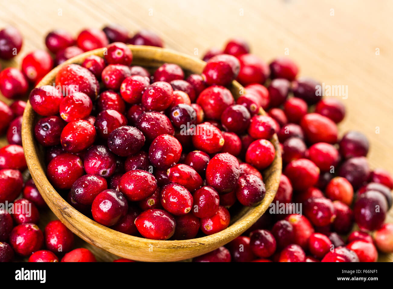 Organic fresh cranberries in season Stock Photo - Alamy