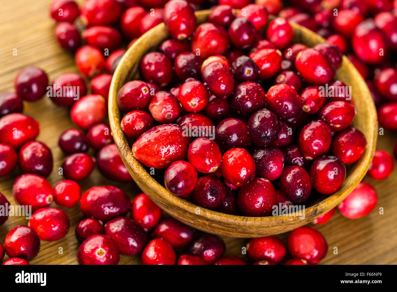 Organic fresh cranberries in season Stock Photo - Alamy