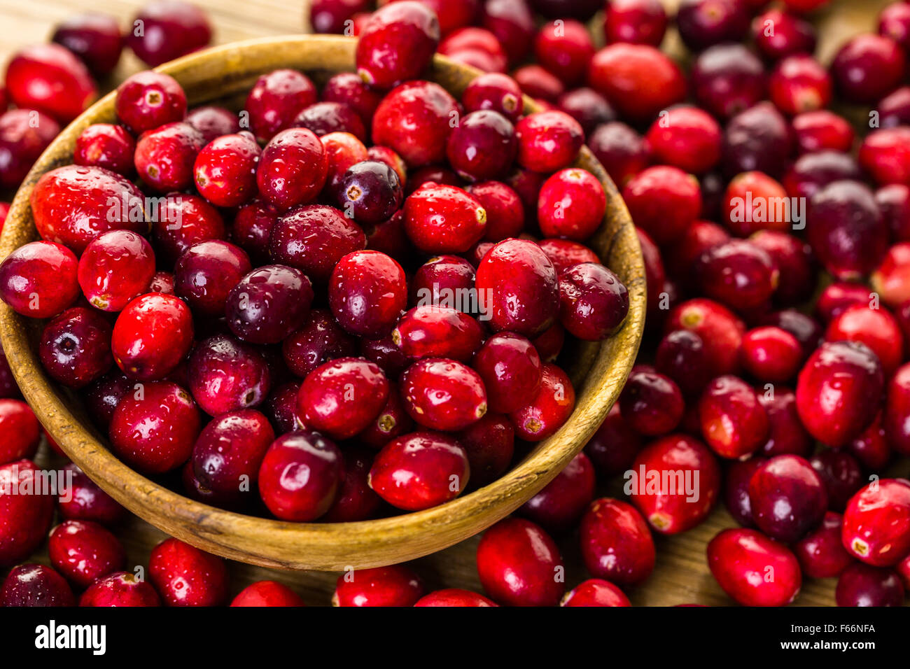Organic fresh cranberries in season Stock Photo - Alamy