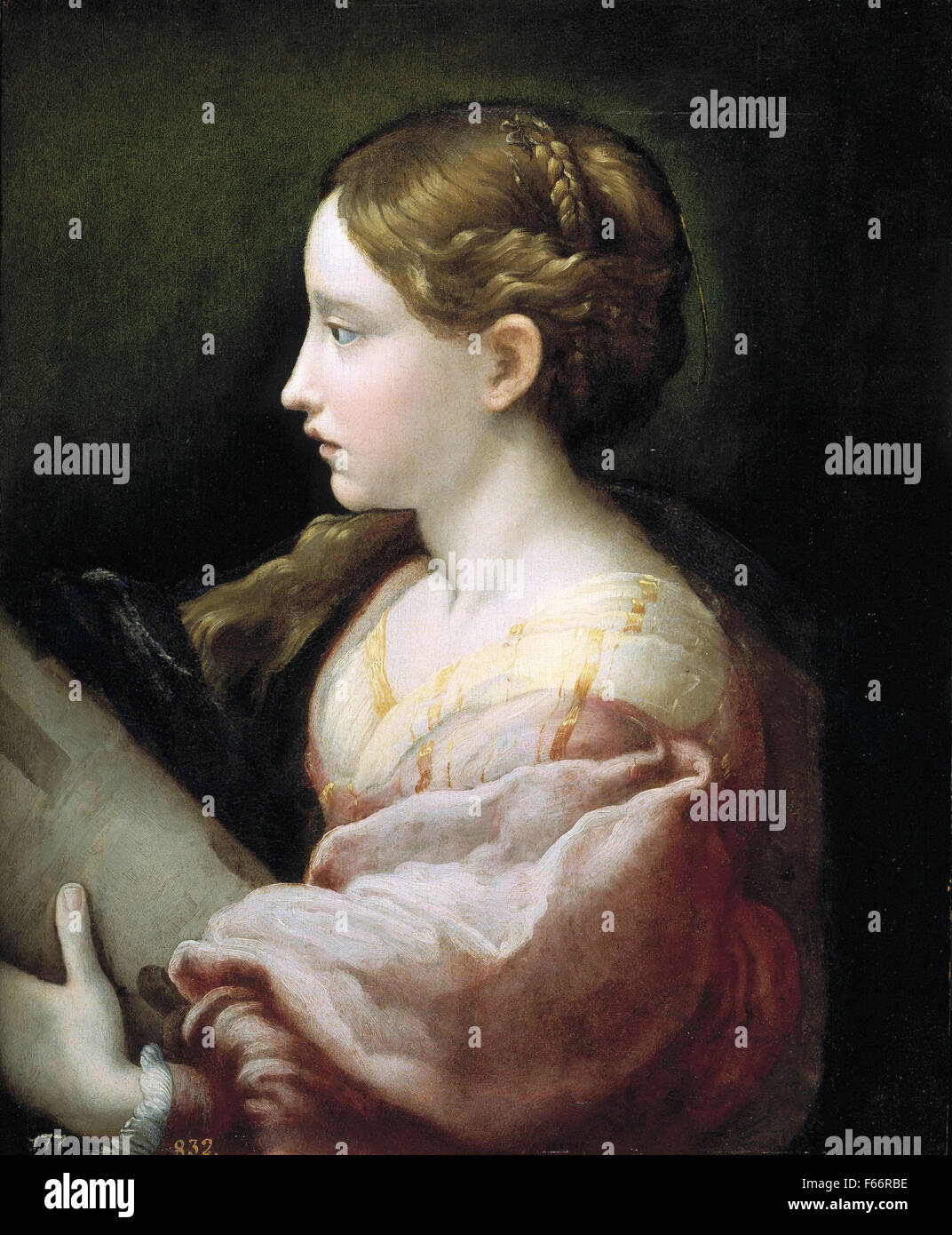 Parmigianino - Sainte Barbara Stock Photo - Alamy