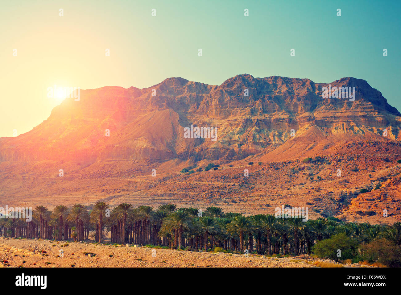Judean desert in Israel at sunset Stock Photo - Alamy