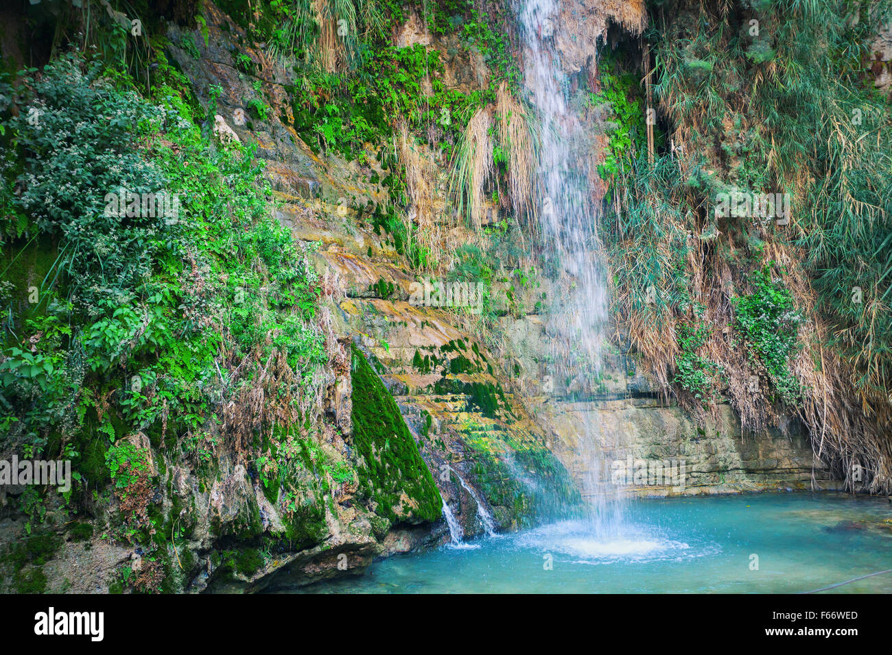 Davids waterfall hi-res stock photography and images - Alamy
