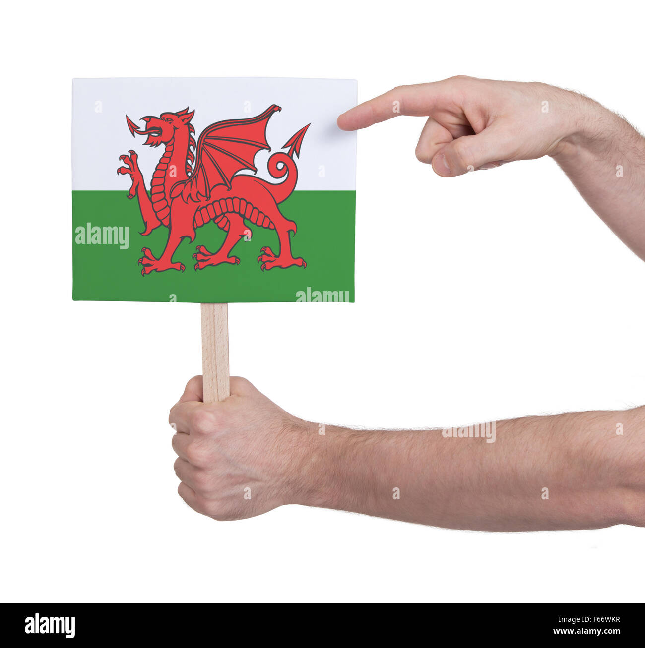 Hand holding small card, isolated on white - Flag of Wales Stock Photo ...