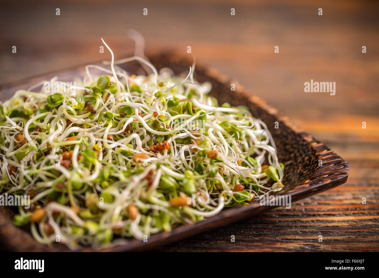 Mix of green young sprouts in plate Stock Photo - Alamy