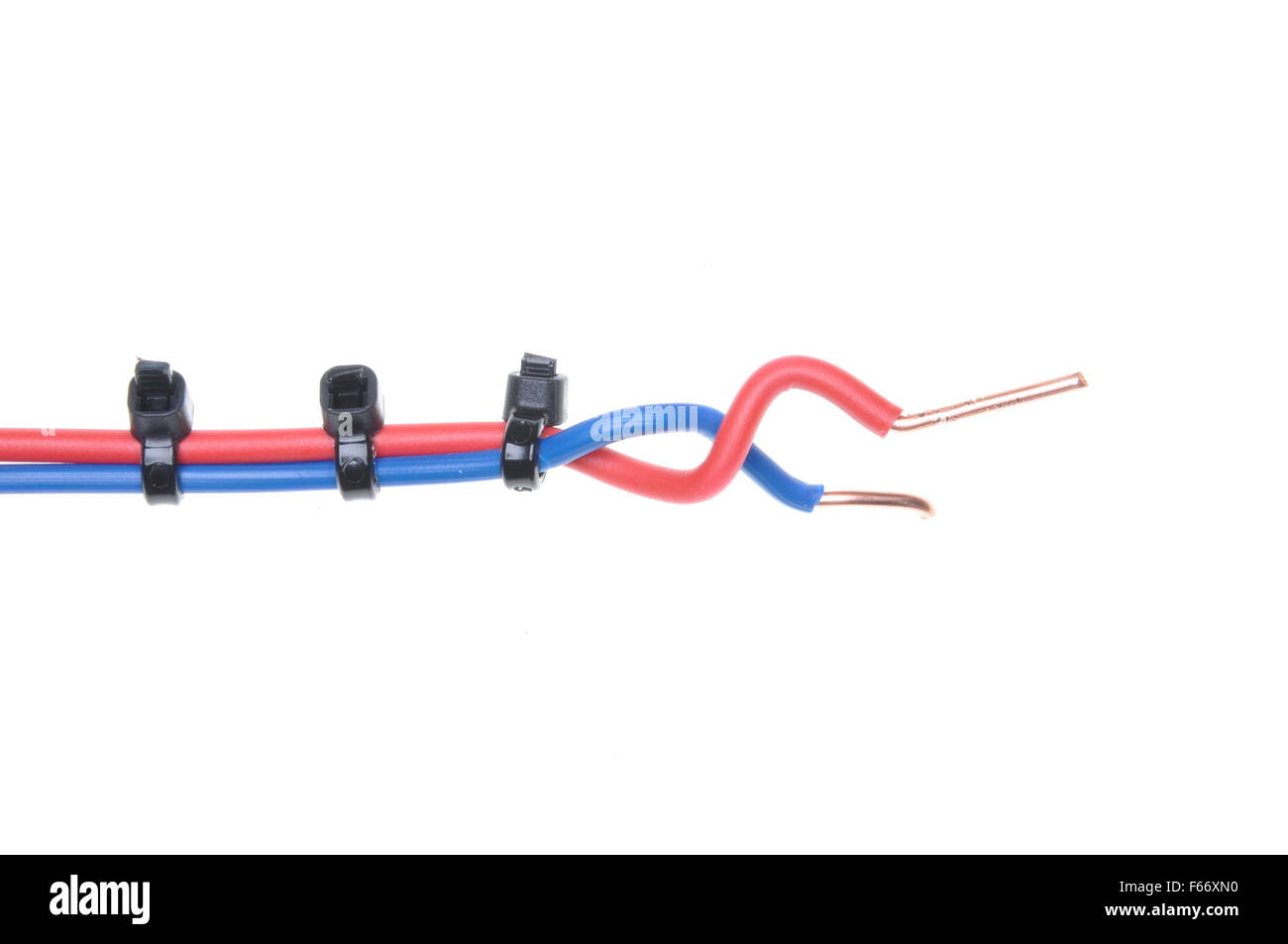 Electrical wires isolated on white background Stock Photo - Alamy