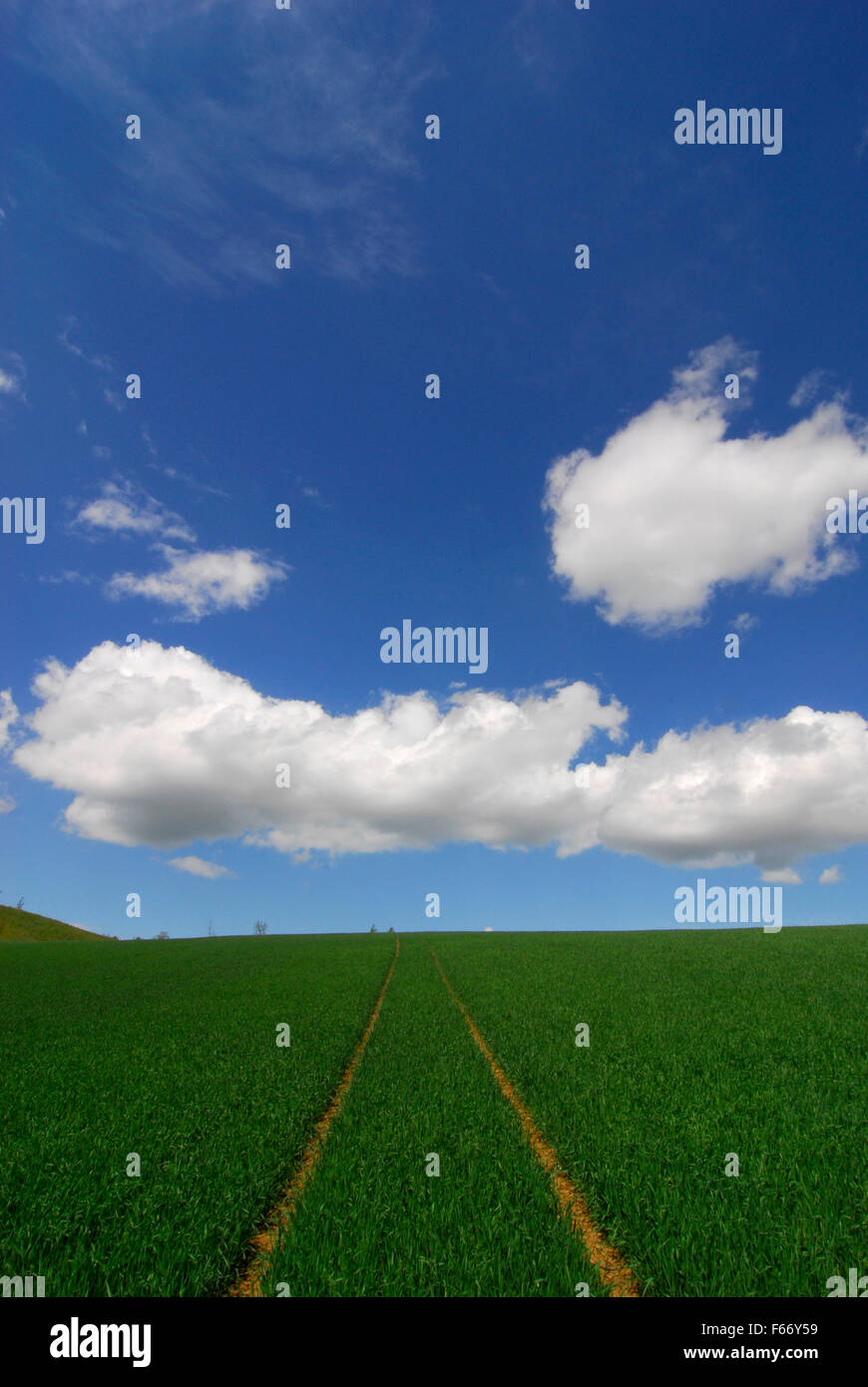 Path in field green hi-res stock photography and images - Alamy