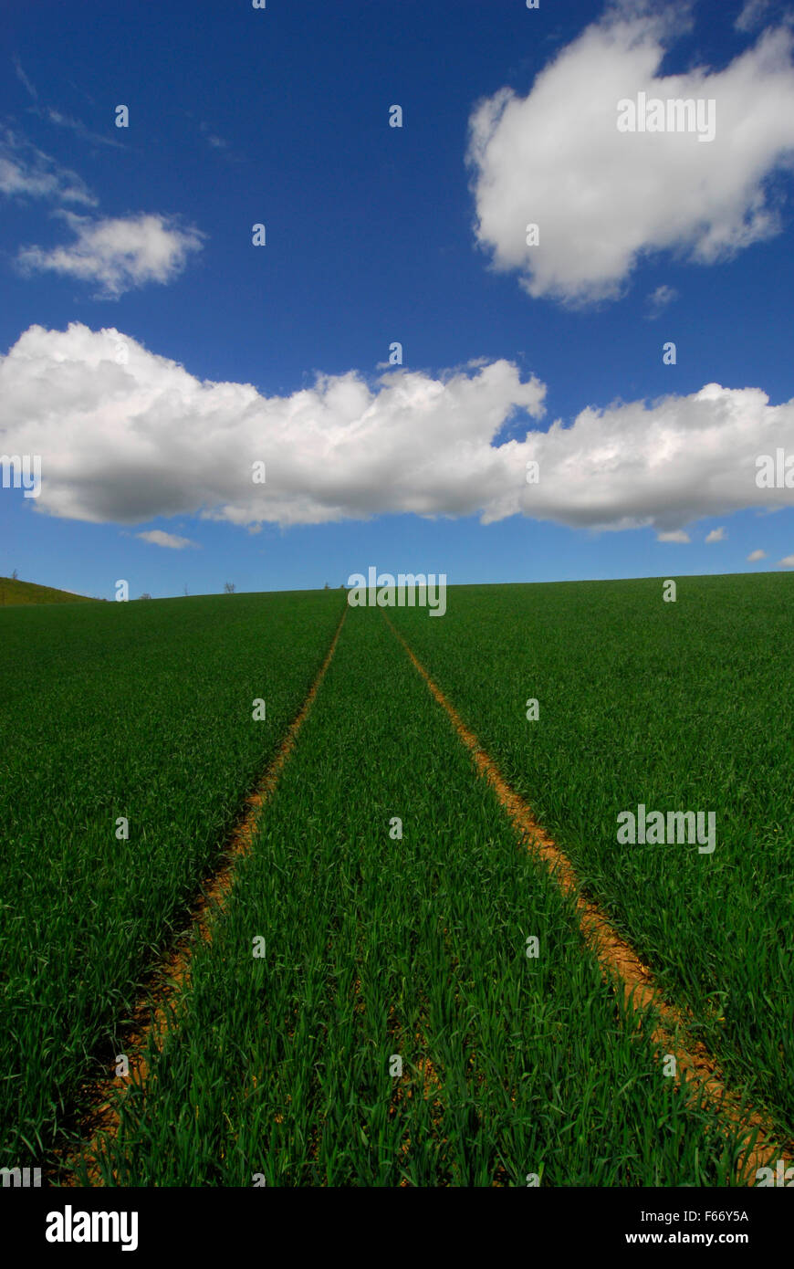 Green spring hi-res stock photography and images - Alamy