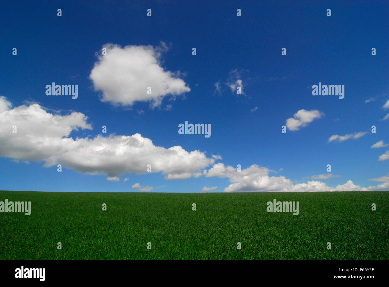 Green field, spring, horizon Stock Photo - Alamy