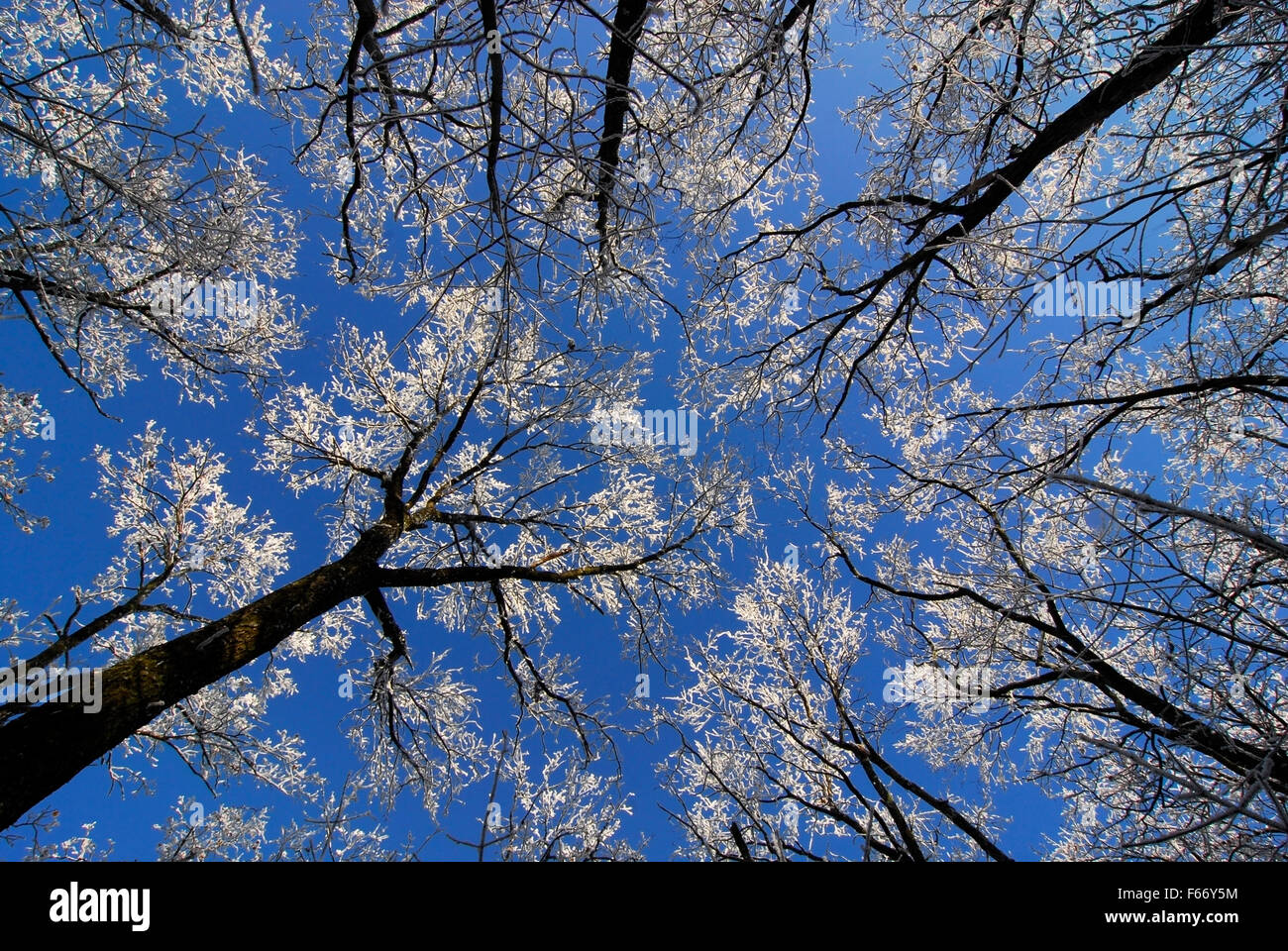 Freeze rime hi-res stock photography and images - Alamy