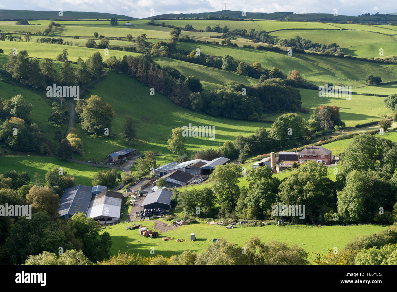 Welsh countryside in early autumn on the A483 near Newtown, Powys ...