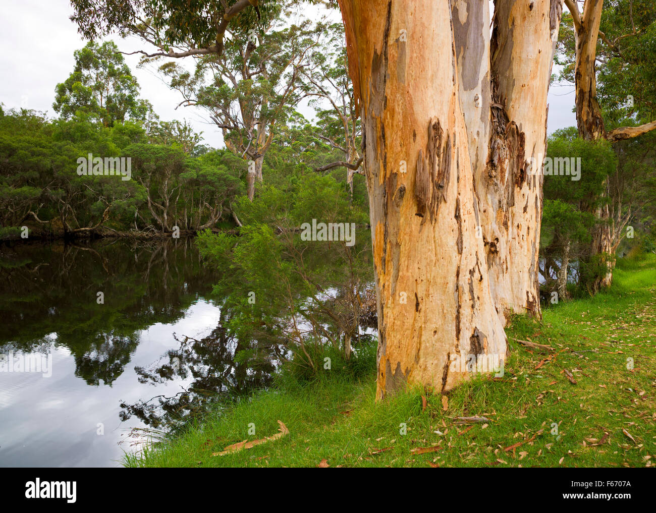 Denmark and australia hi-res stock photography and images - Alamy