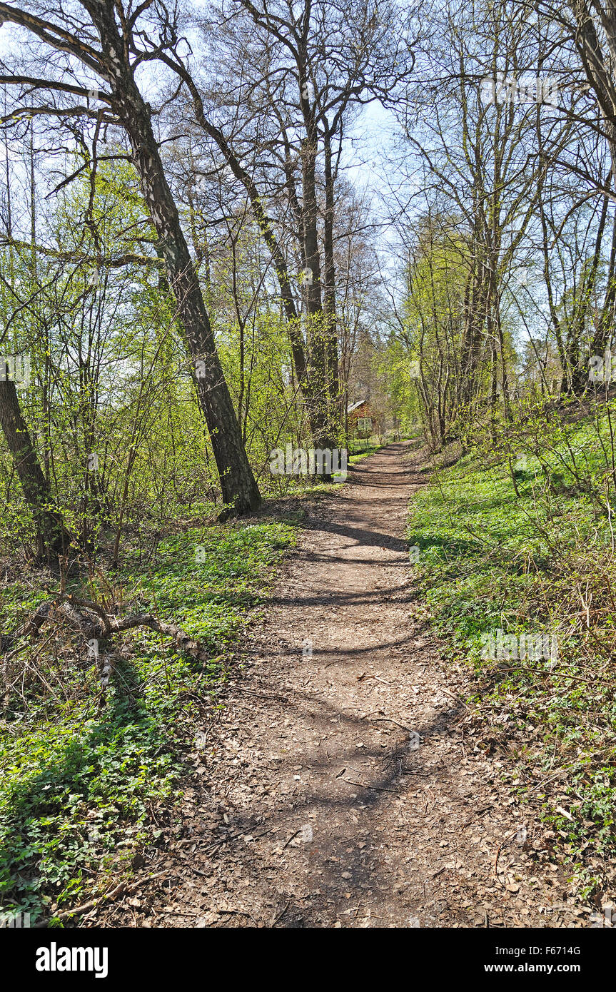 Pastoral forest hi-res stock photography and images - Alamy