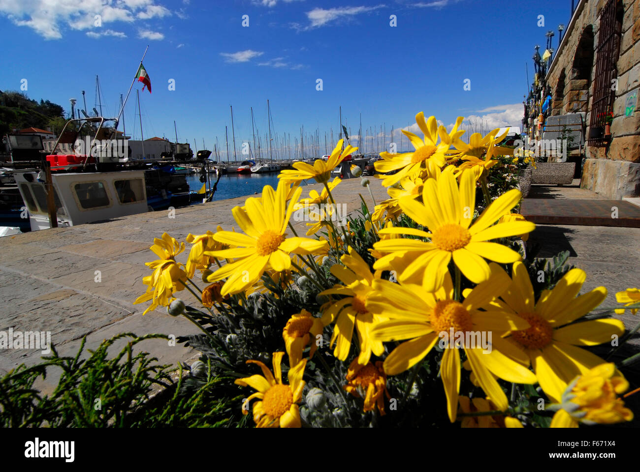 Muggia; harbor, harbour, Italy Stock Photo - Alamy