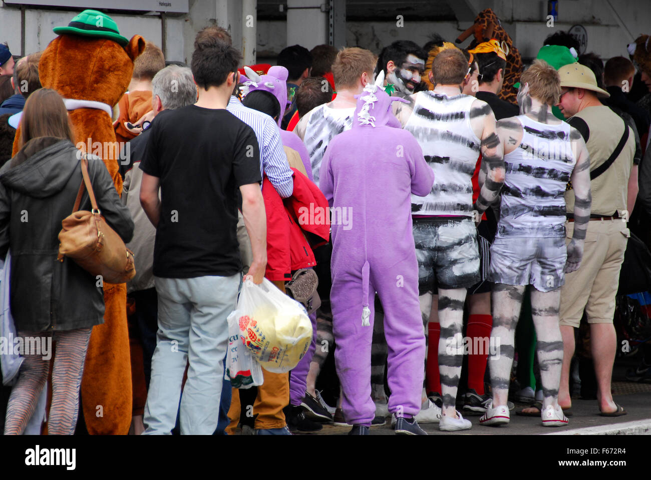 Rugby fans, sports, costume, London; UK Stock Photo - Alamy