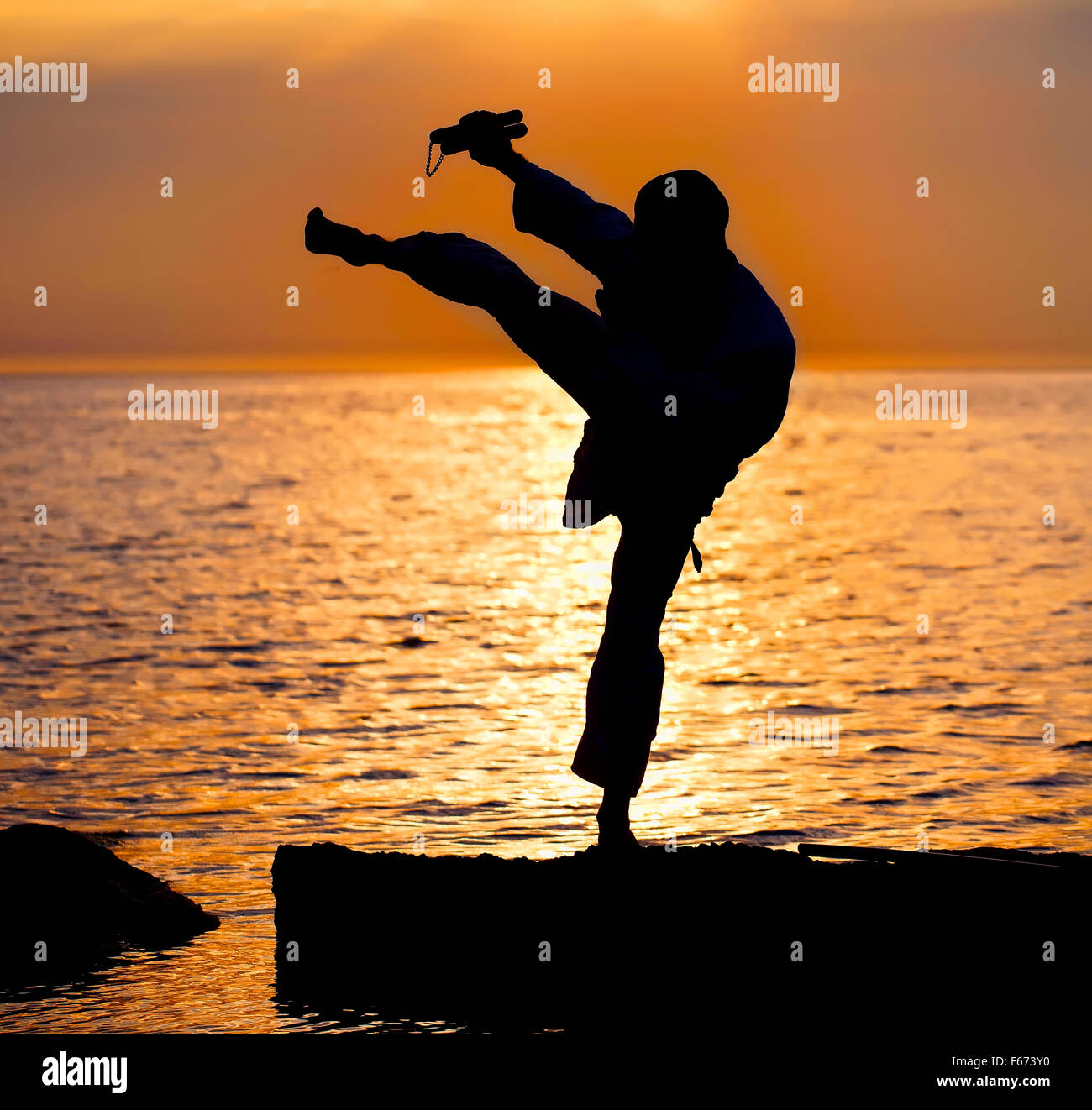 Karate fighter training Stock Photo - Alamy