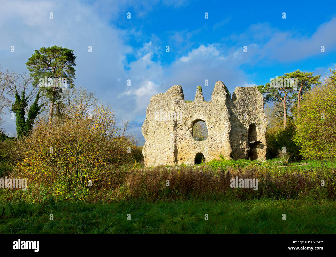 The ruins of Odiham Castle, Hampshire, England UK Stock Photo - Alamy