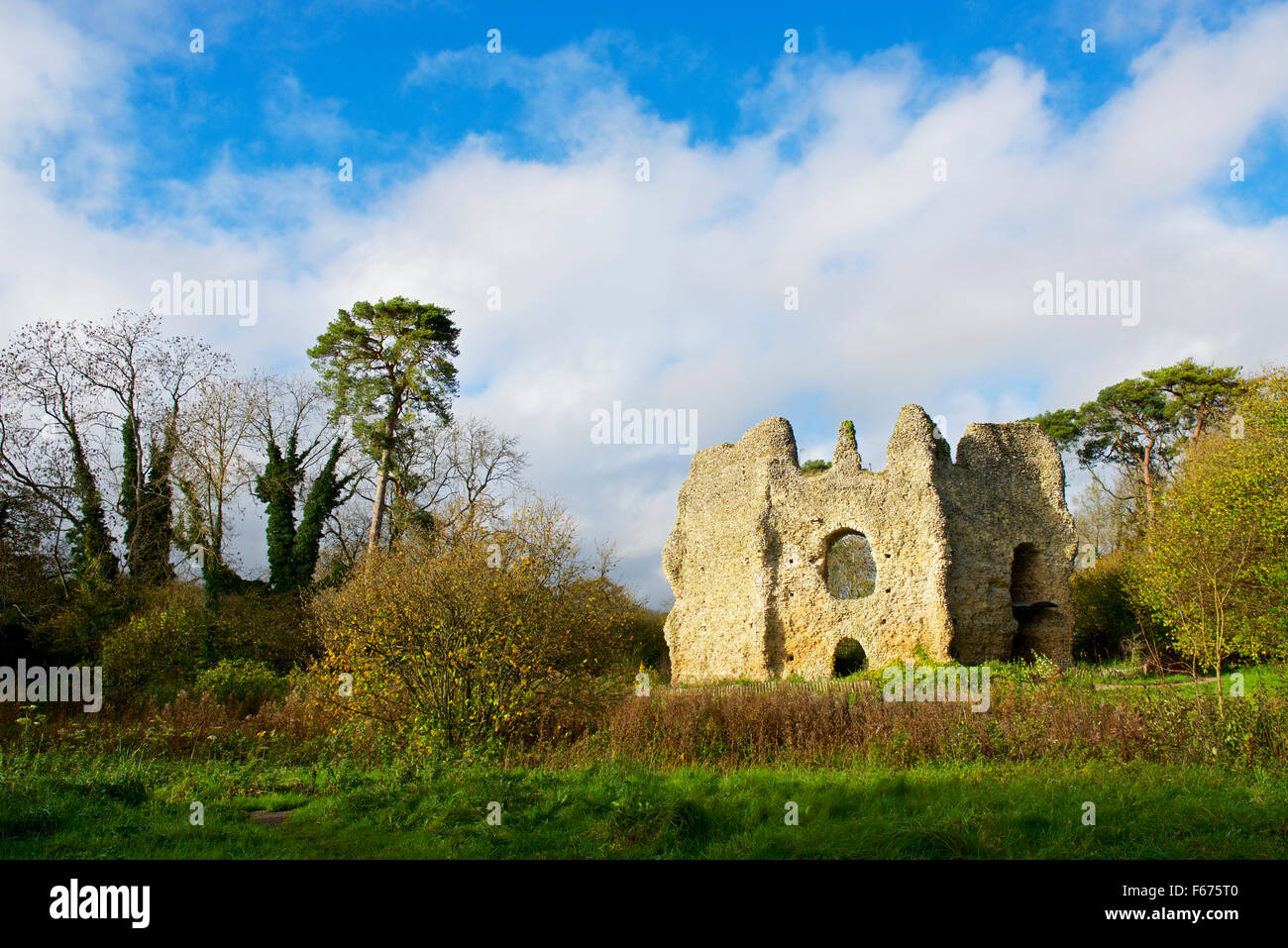 The ruins of Odiham Castle, Hampshire, England UK Stock Photo - Alamy