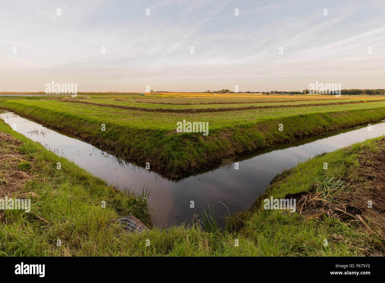 Field of water hi-res stock photography and images - Alamy
