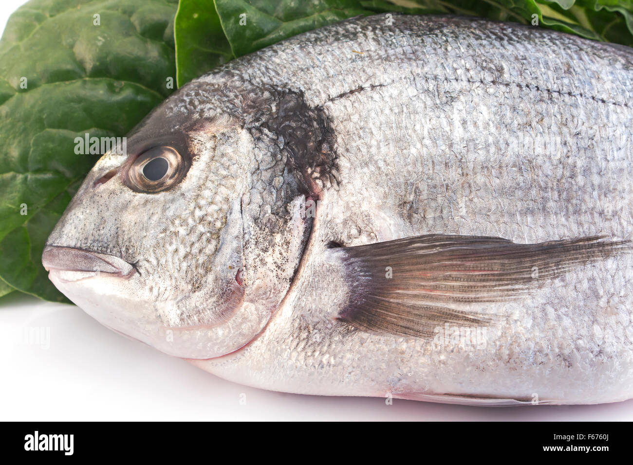 Fish dorade with swiss chard Stock Photo - Alamy