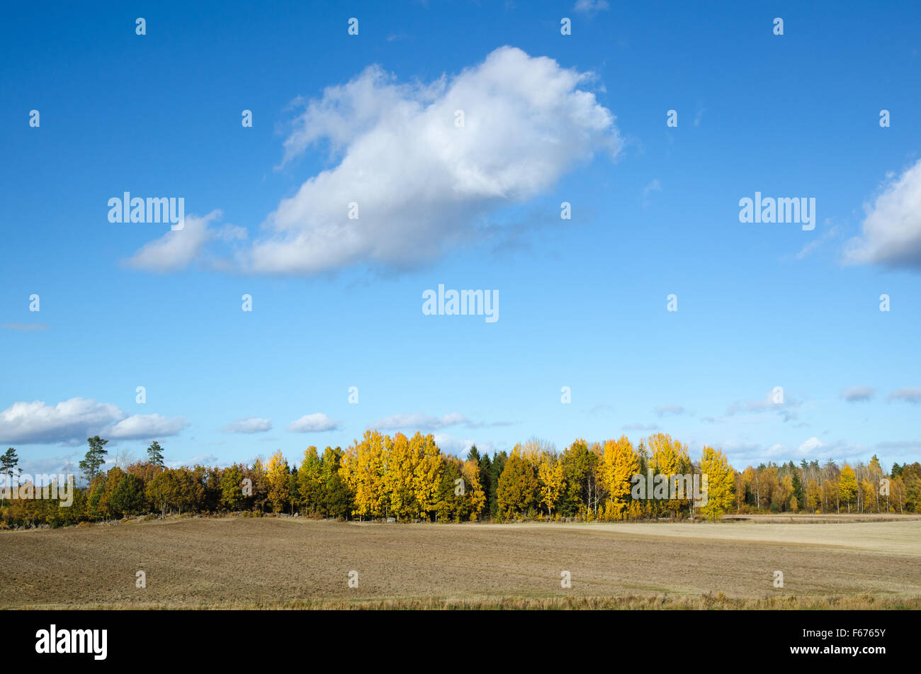 Colorful swedish landscape in sunshine at fall Stock Photo - Alamy