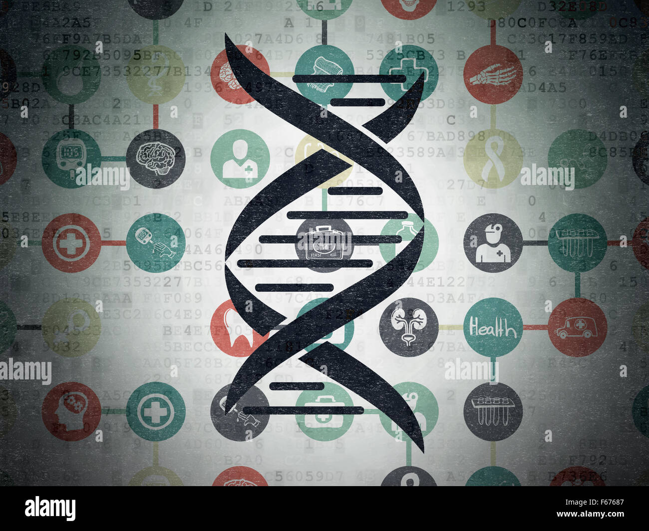 Human evolution chart hi-res stock photography and images - Alamy