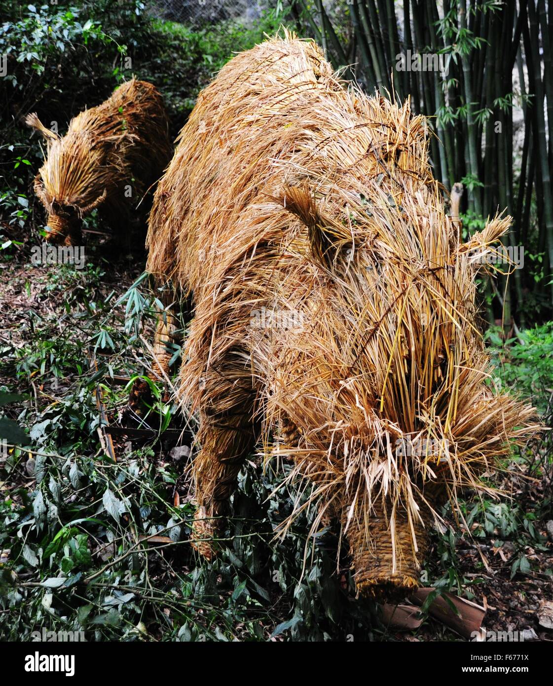 Straw art hi-res stock photography and images - Alamy