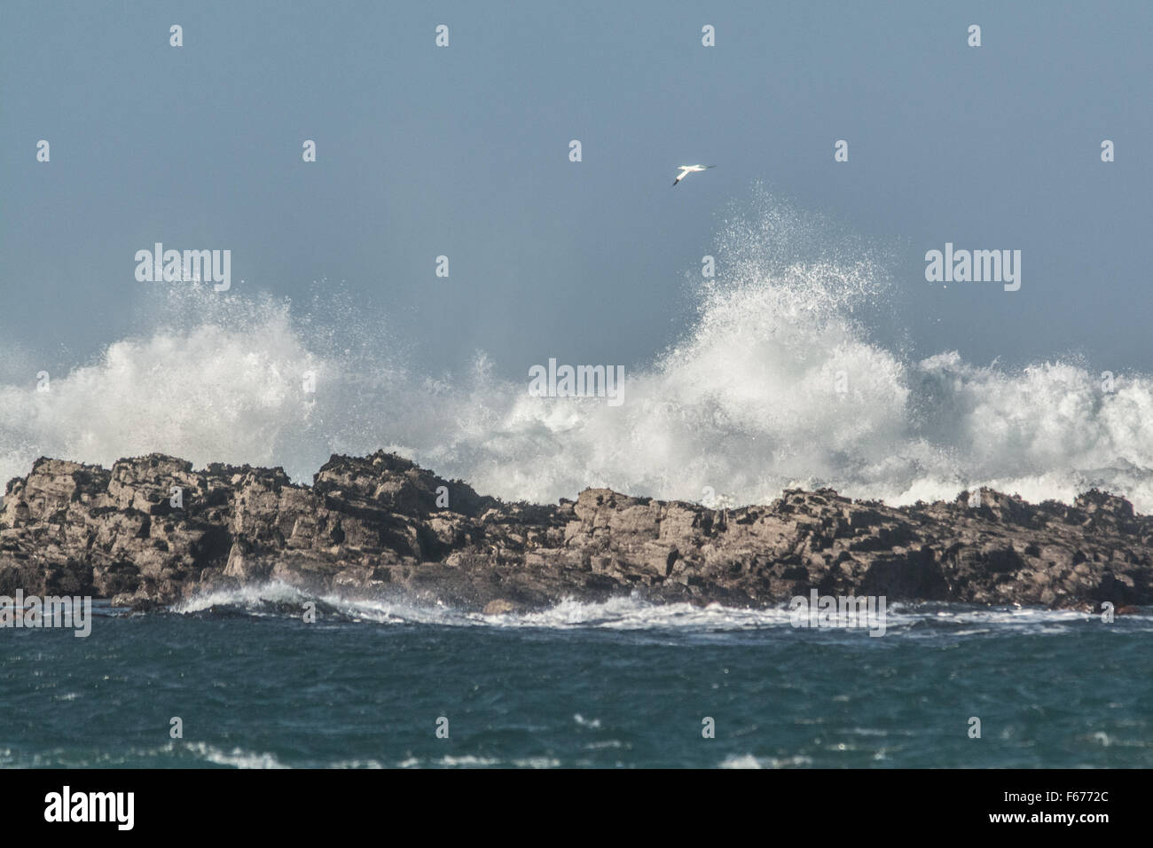 Sennen Cove, Cornwall, UK. 13th November 2015. UK Weather. As Storm ...