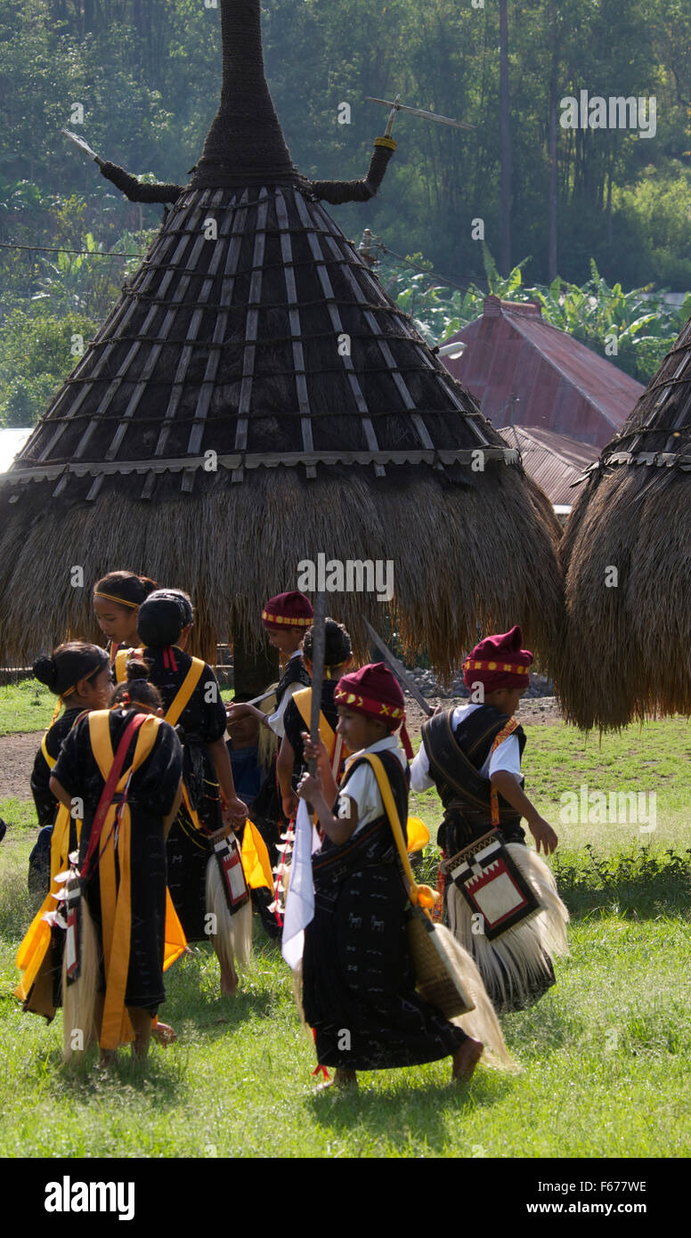 Indonesian tribe at ceremony doing a traditional dance Flores Stock ...