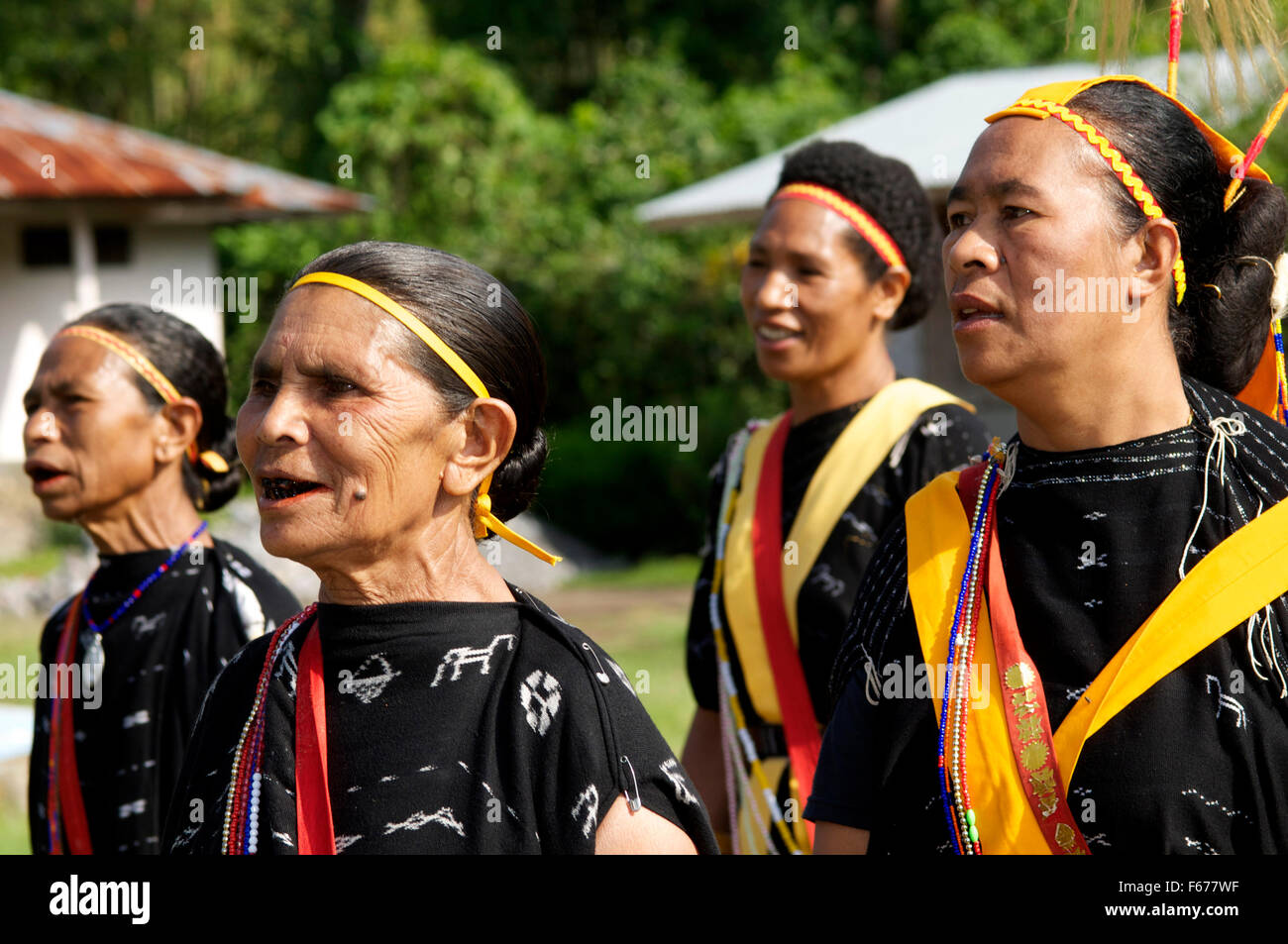 Indonesian tribe at ceremony doing a traditional dance Flores Stock ...