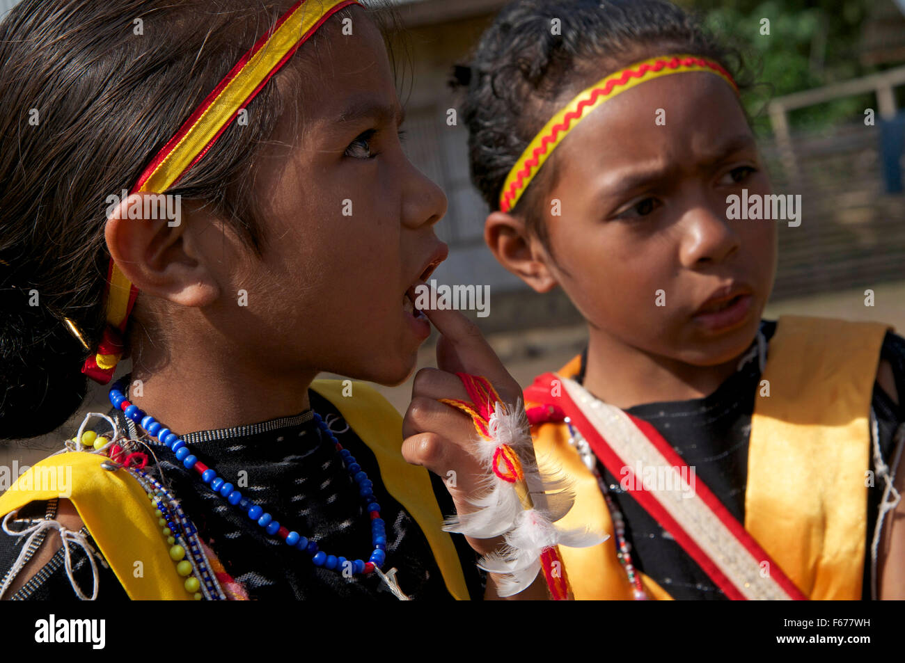 Indonesian tribe at ceremony doing a traditional dance Flores Stock ...