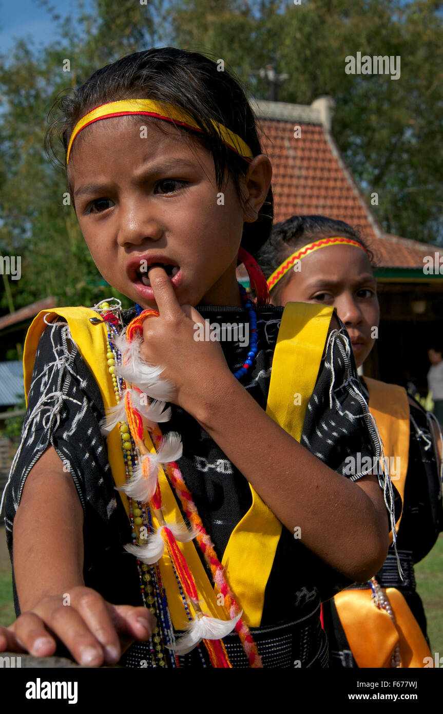 Indonesian tribe at ceremony doing a traditional dance Flores Stock ...