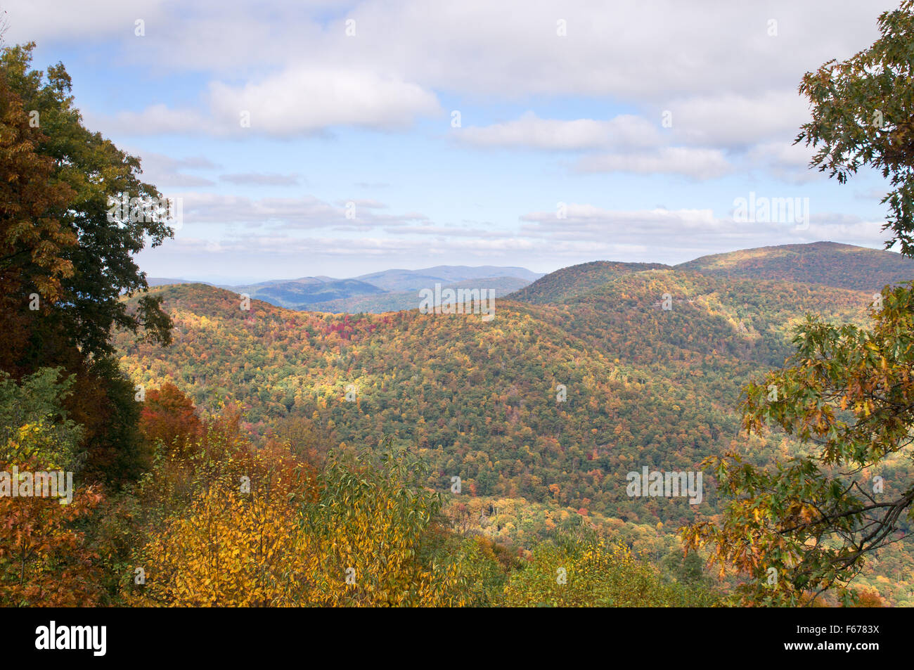 Trees with autumn foliage Skyline Drive, Shenandoah National Park ...