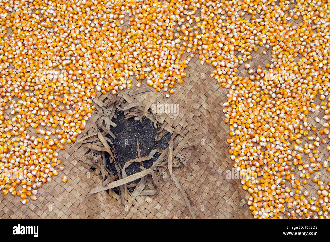 corn on the ground Indonesia Stock Photo - Alamy