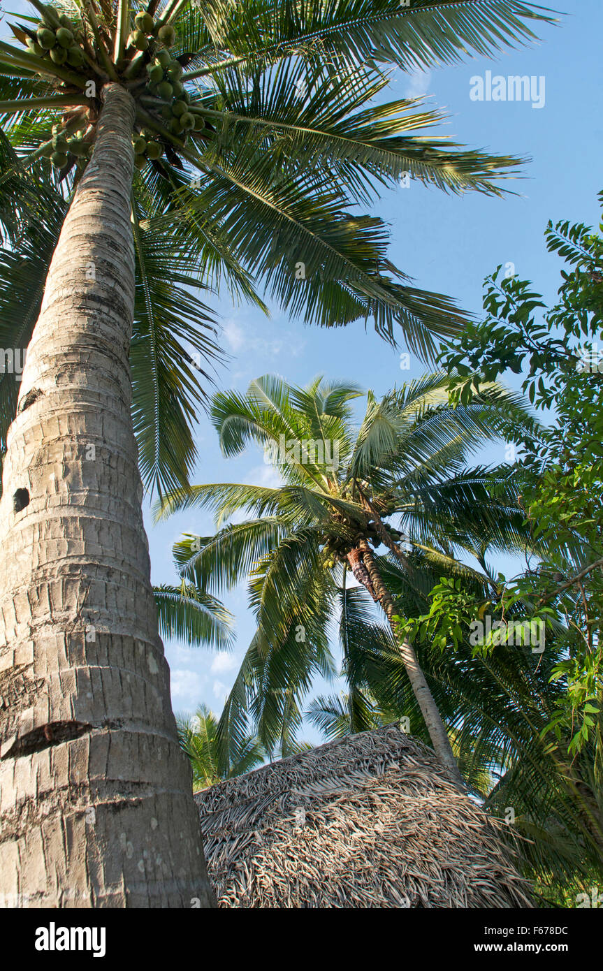 Flores island indonesia hi-res stock photography and images - Alamy
