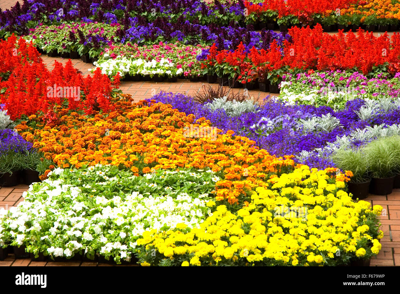 Festival of Flowers, Pioneer Courthouse Square, Portland, Oregon Stock ...