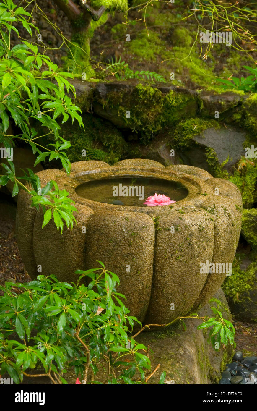 Stone Lotus Basin, Portland Japanese Garden, Washington Park, Portland ...