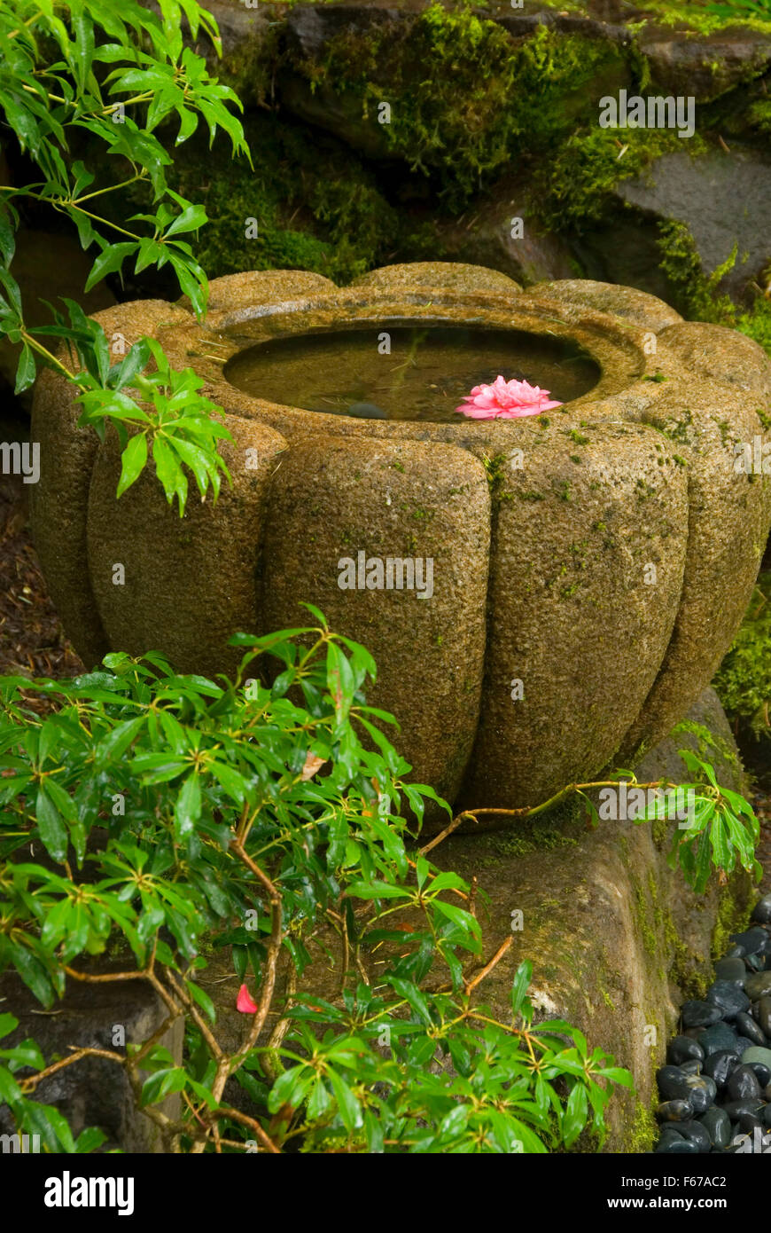 Stone Lotus Basin, Portland Japanese Garden, Washington Park, Portland ...